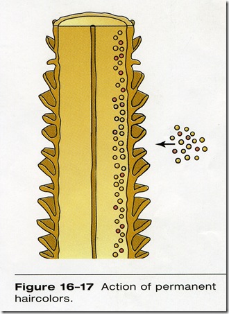 The Way Hair Color Works is Scientifically Magic to Me | Killerstrands ...